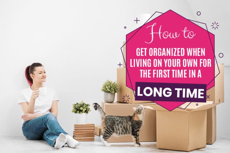 How to get organized when living on your own for the first time in a ...